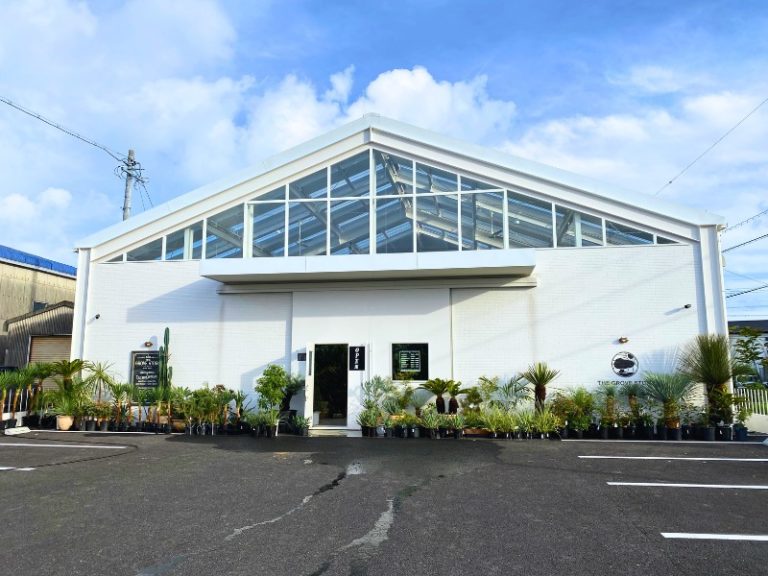 県内最大級！島田市にできた植物の専門店！THE GROVE STORE "GREEN" | みてご 島田市地域情報メディア